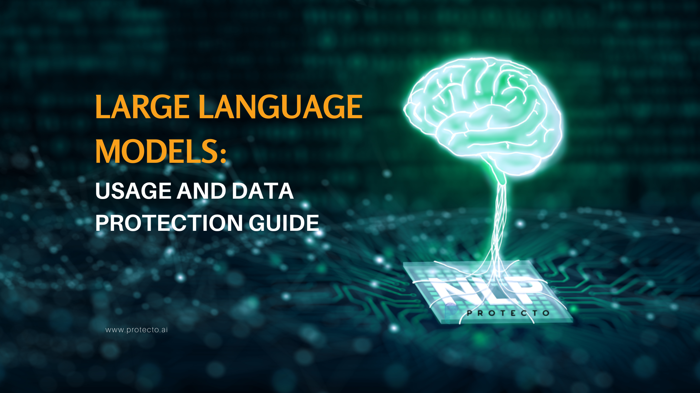 Large Language Models: Usage And Data Protection Guide